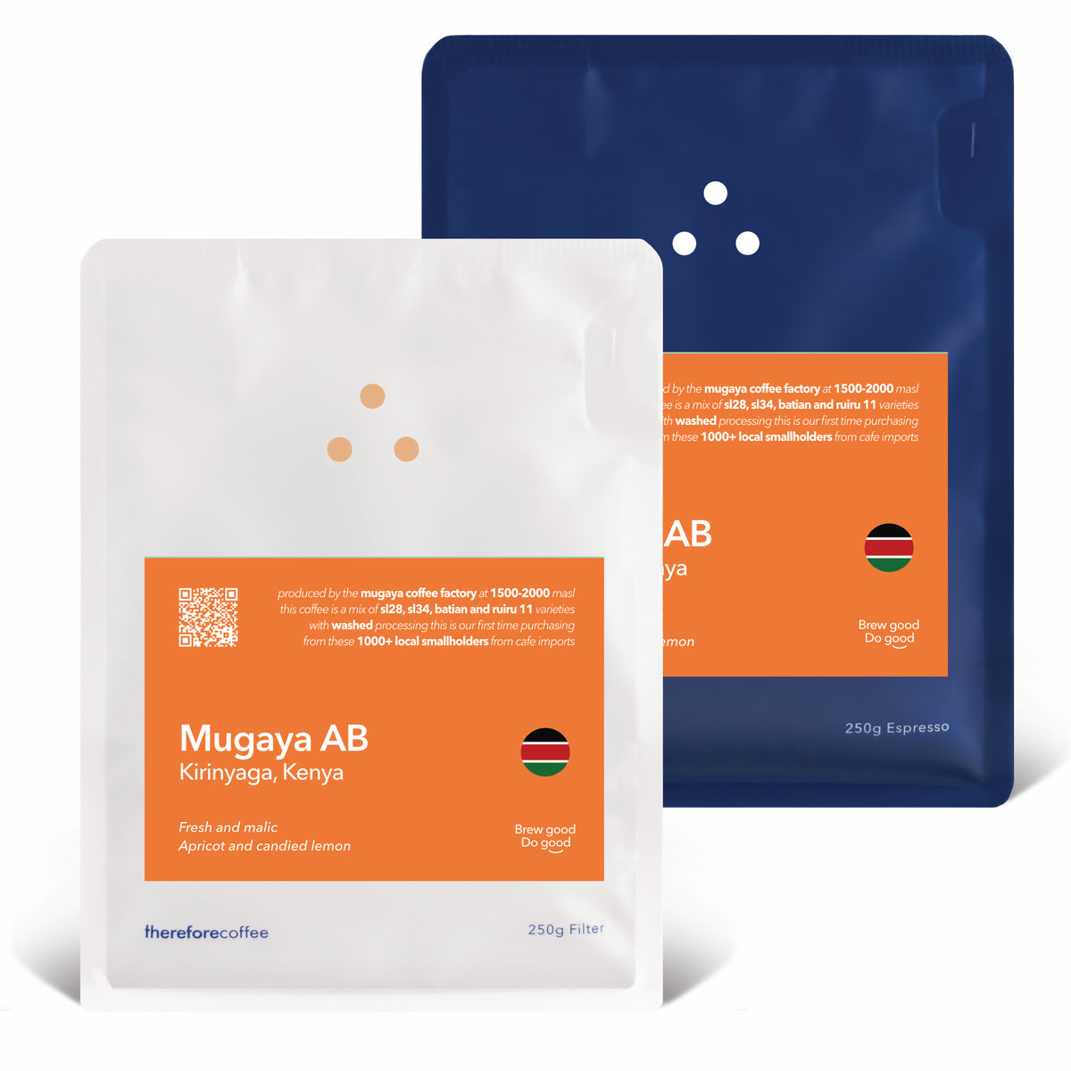 Mugaya AB, Kenya – Therefore Coffee